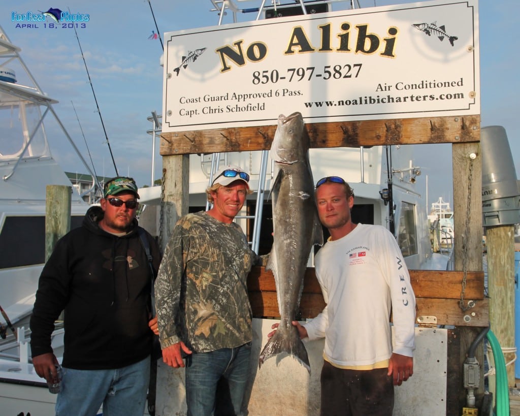 Photo Gallery of Fish - Deep Sea Fishing in Destin, FL